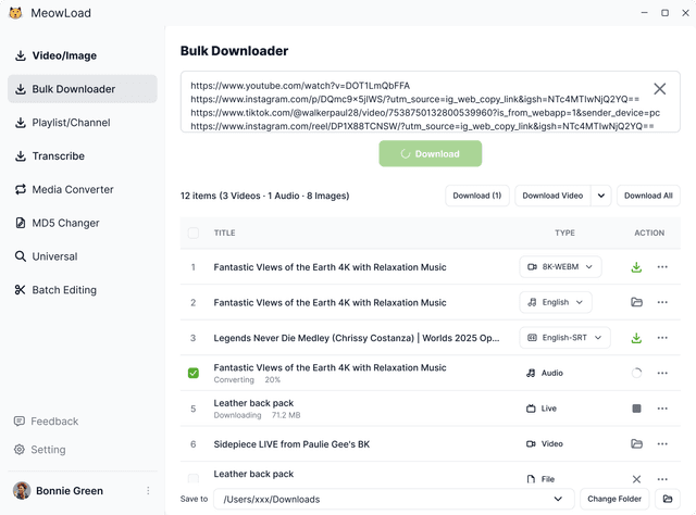Bulk Media Downloader - Download Videos and Pictures in Bulk from ...