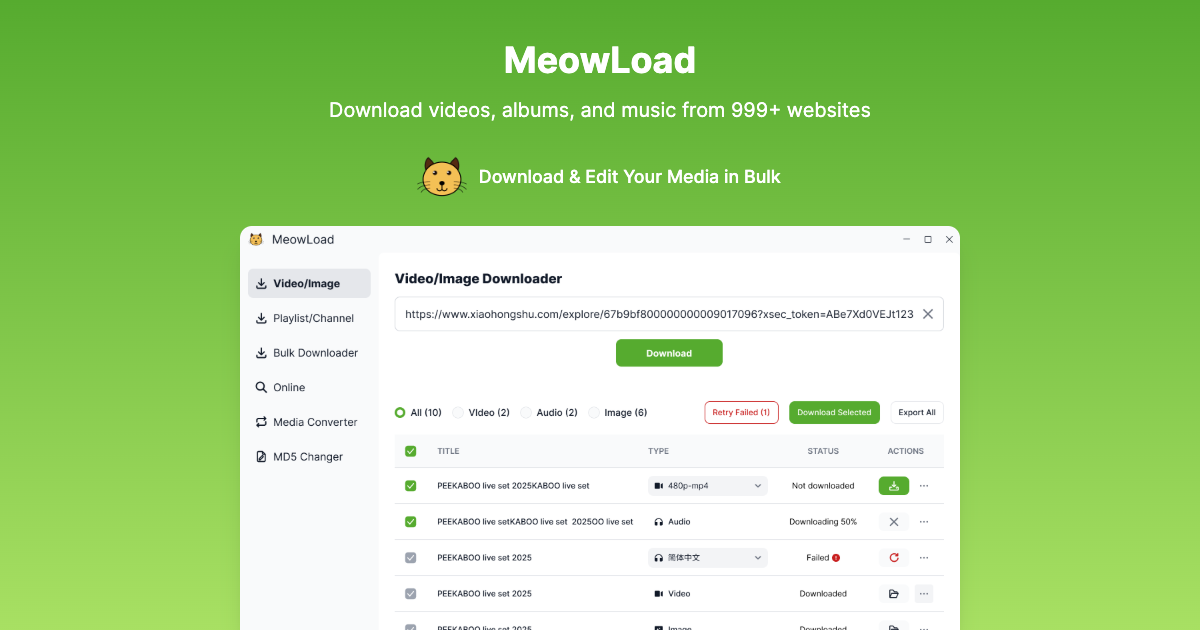 YouTube to MP4 Converter – Download Videos in HD or 4K - MeowLoad